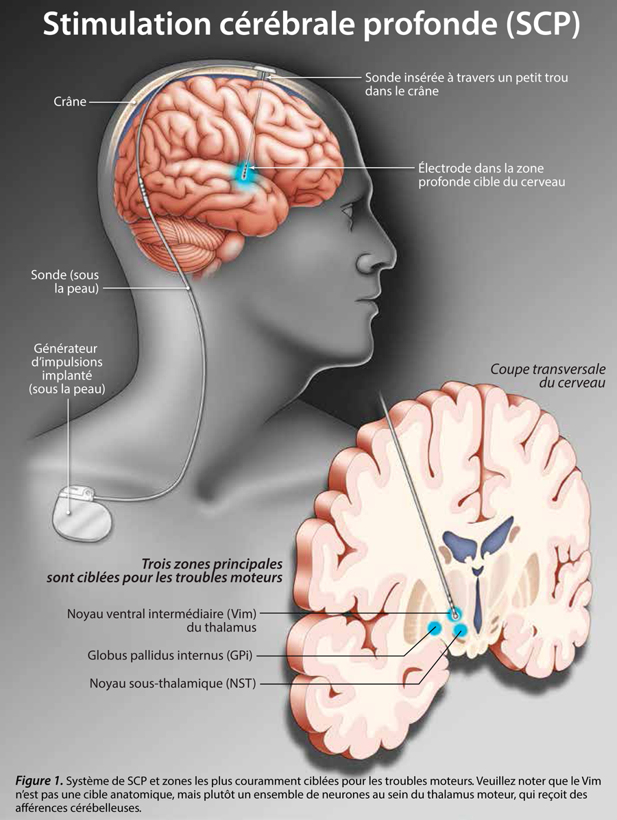 Current Clinical Care HealthPlexus Current Clinical Care HealthPlexus