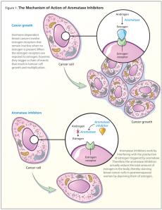 Visual Aids: Gender & Health | healthPlexus.net